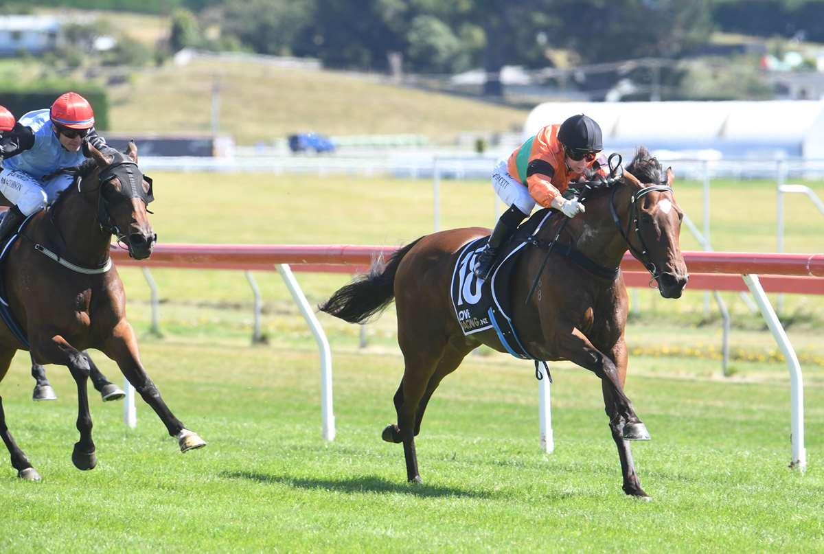 Farm hack longshot scores at Taupo